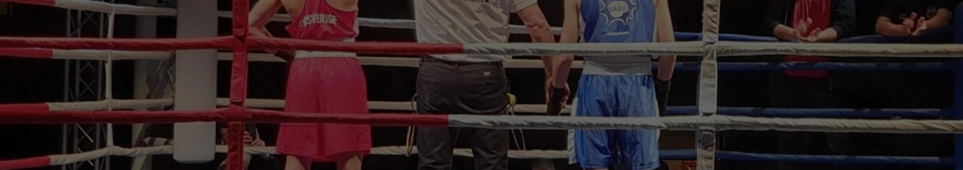 Karlskrona Boxningsklubb - Target Aid